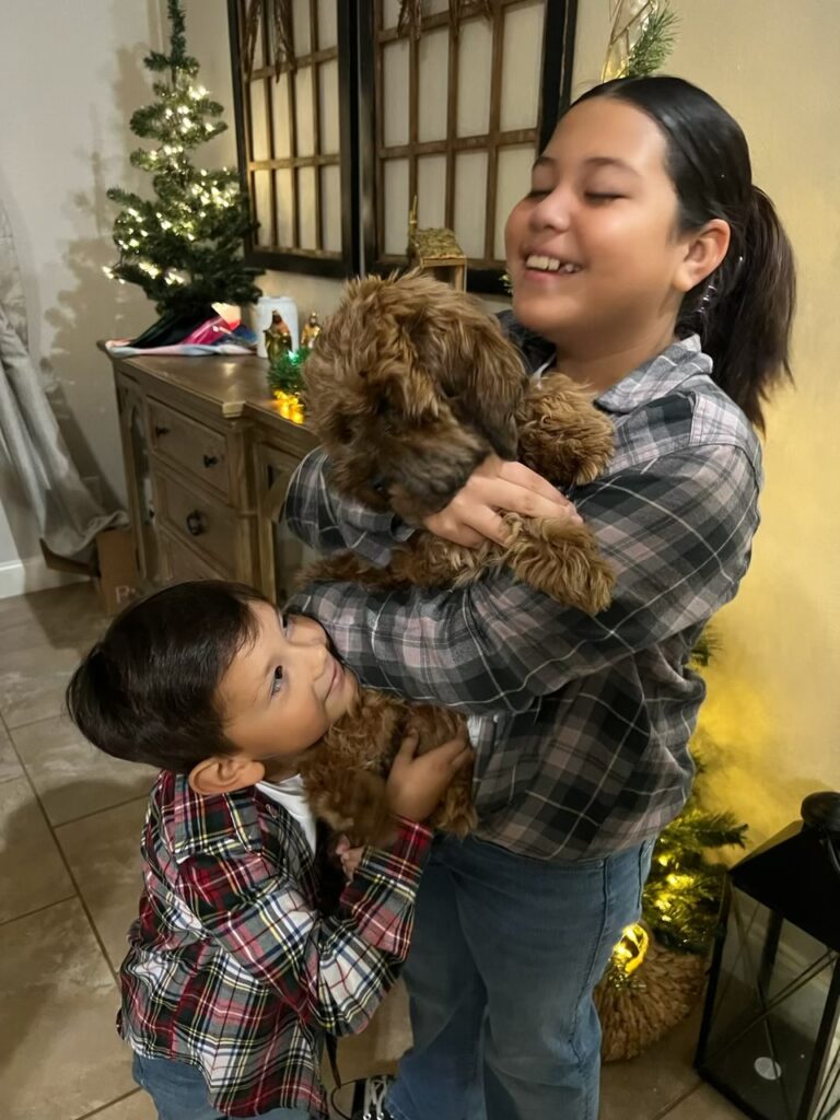 ADOPT - Mending Hearts Pet Rescue